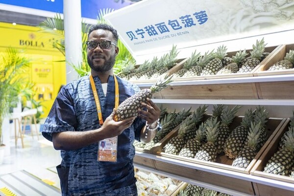 China develops debut economy to expand high-quality supply