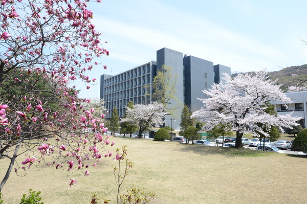 KIST Strengthens Global Leadership through Strategic Research ...